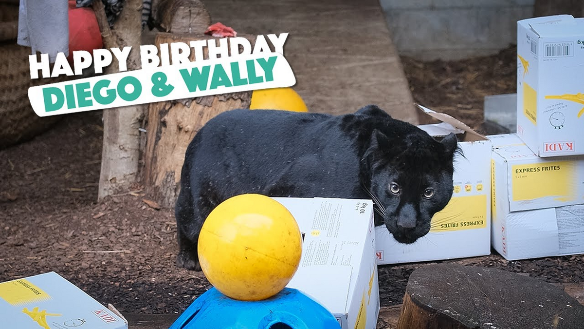 Félicitations Diego et Wally